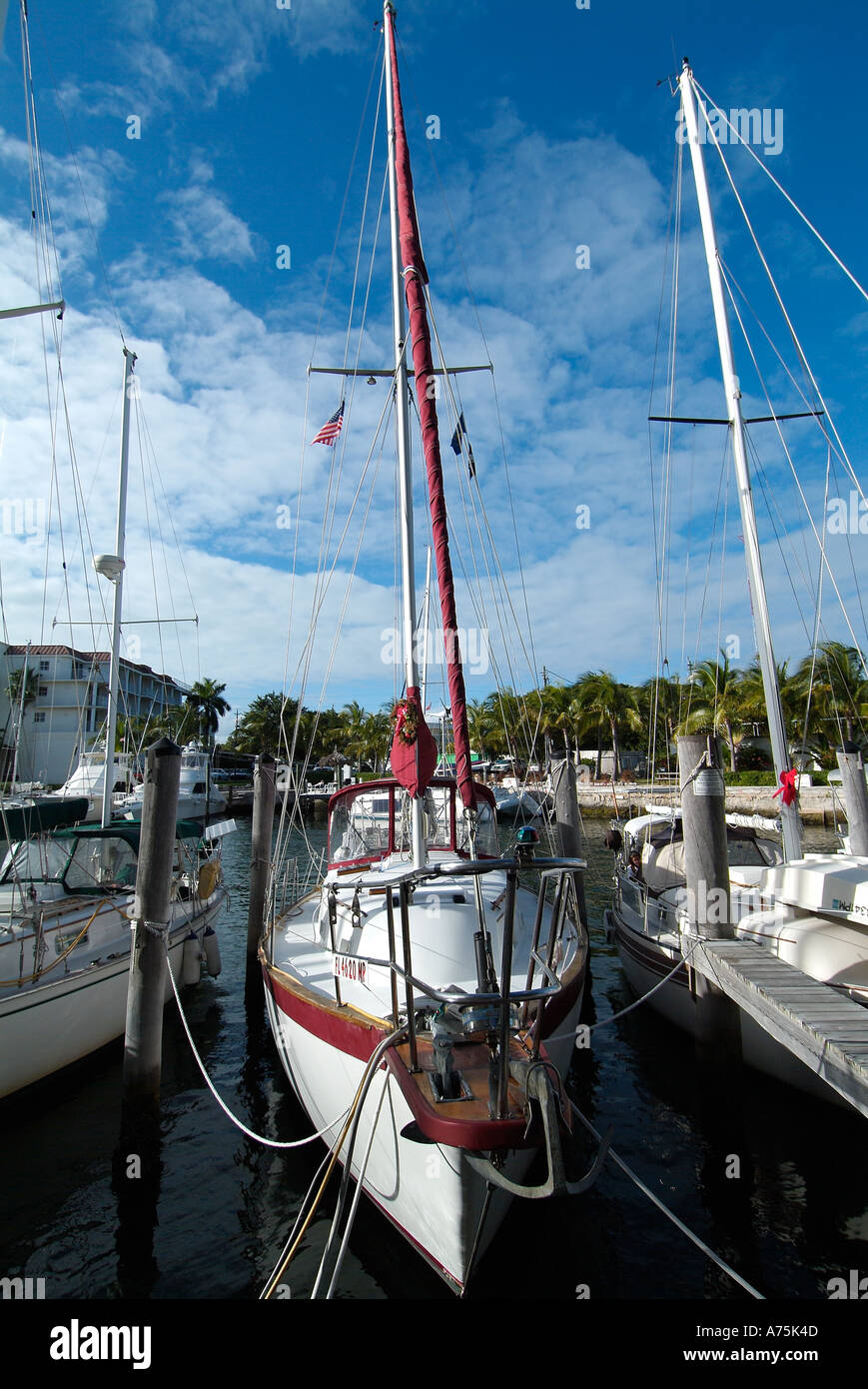 Sailing boat in the harbour of Key Largo Stock Photo - Alamy