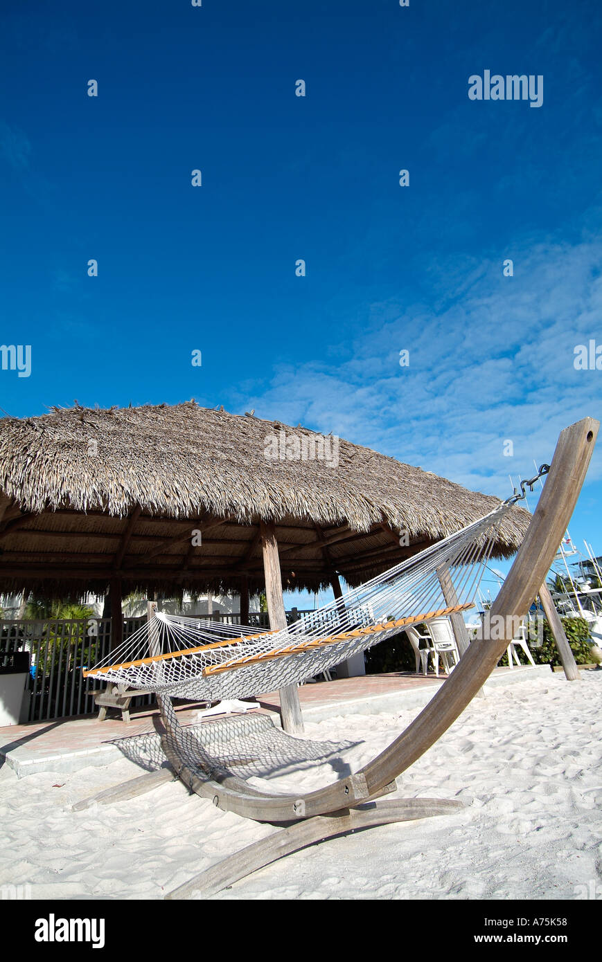 Hammock on the beach in Florida Stock Photo - Alamy