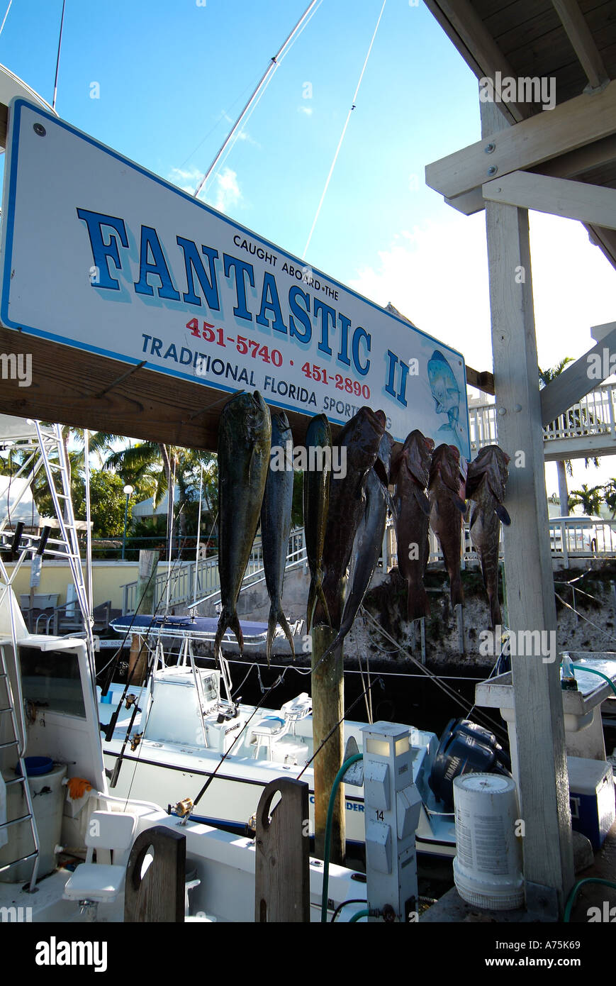 Florida quays hi-res stock photography and images - Alamy