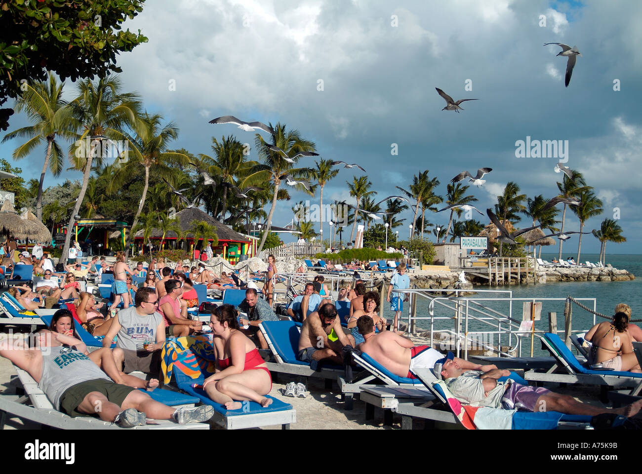 Islamorada upper florida keys hi-res stock photography and images - Alamy
