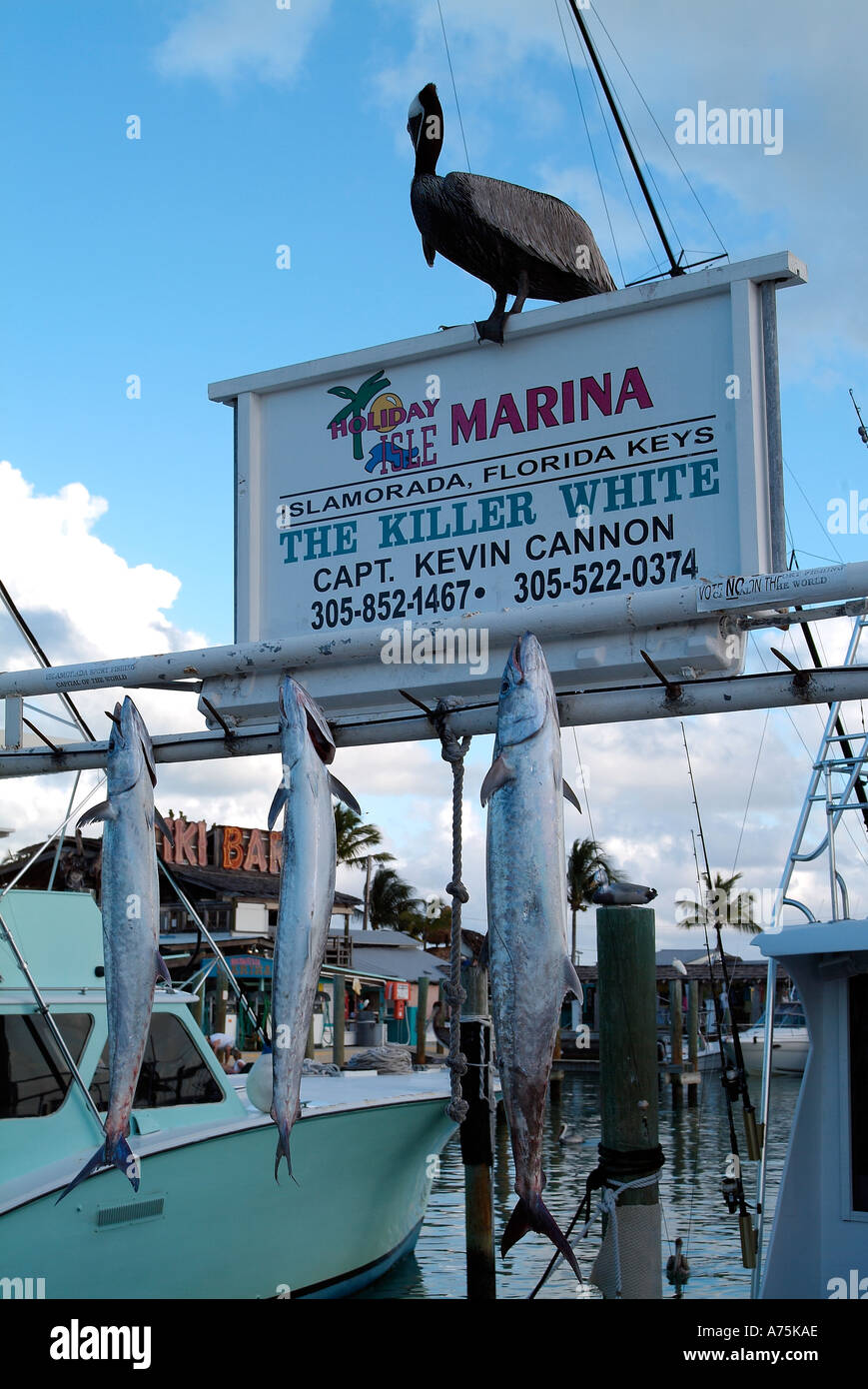 Charter fishing boats in Key Largo in Florida Stock Photo - Alamy