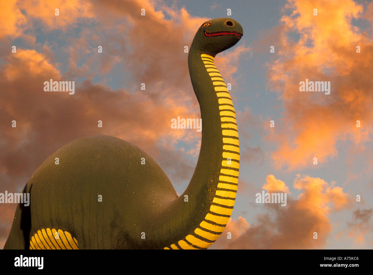 Long neck dinosaur fossil hi-res stock photography and images - Alamy