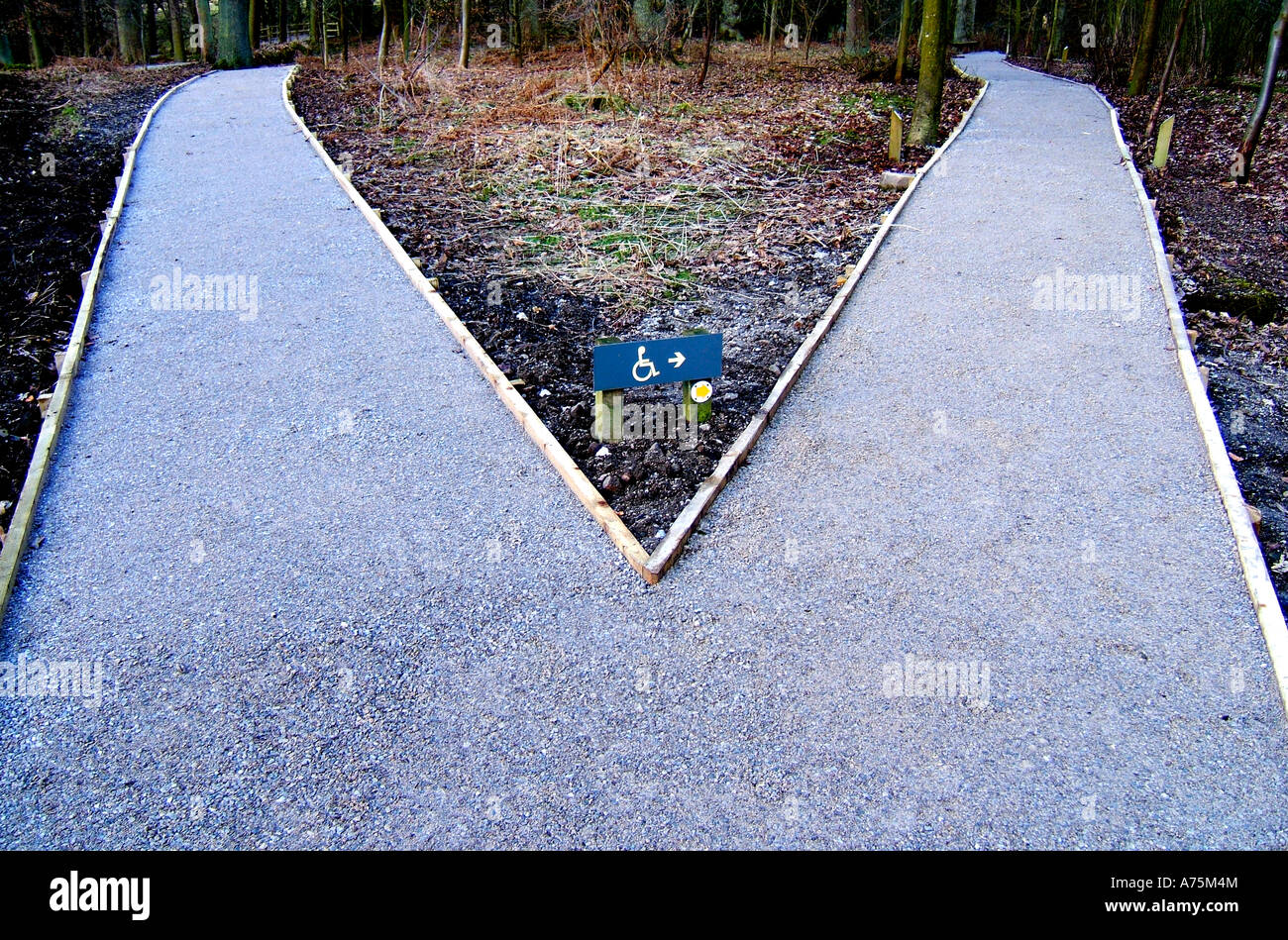 disabled persons path Stock Photo - Alamy