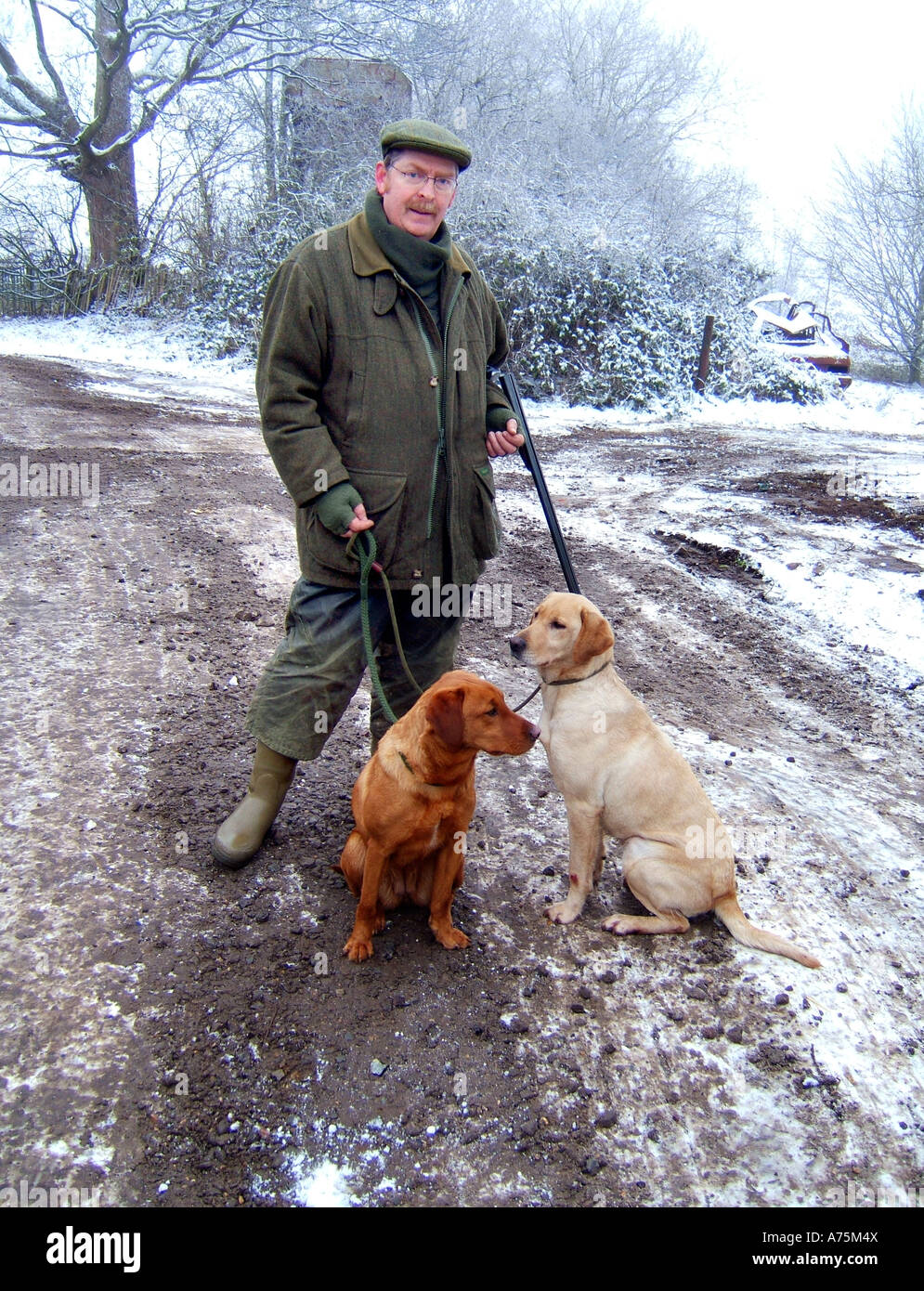 Gamekeeper And Dogs Stock Photos & Gamekeeper And Dogs Stock Images - Alamy