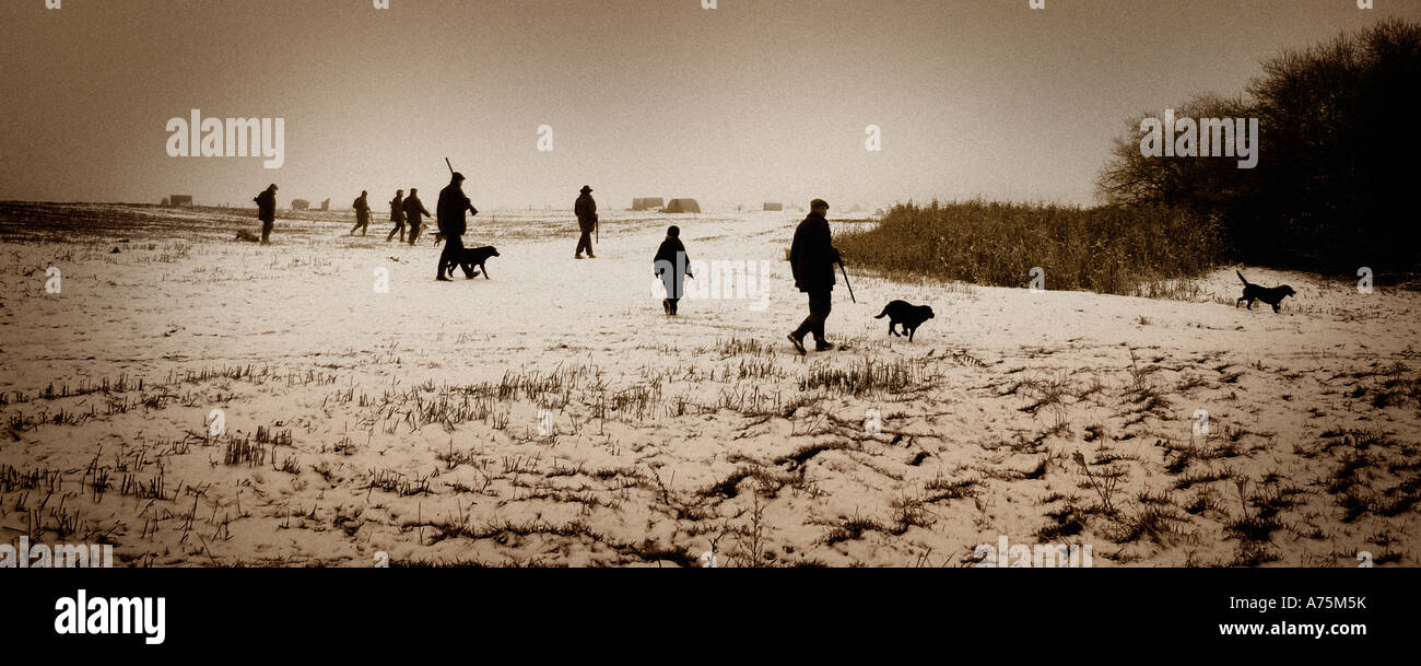 men with guns and dogs Stock Photo - Alamy