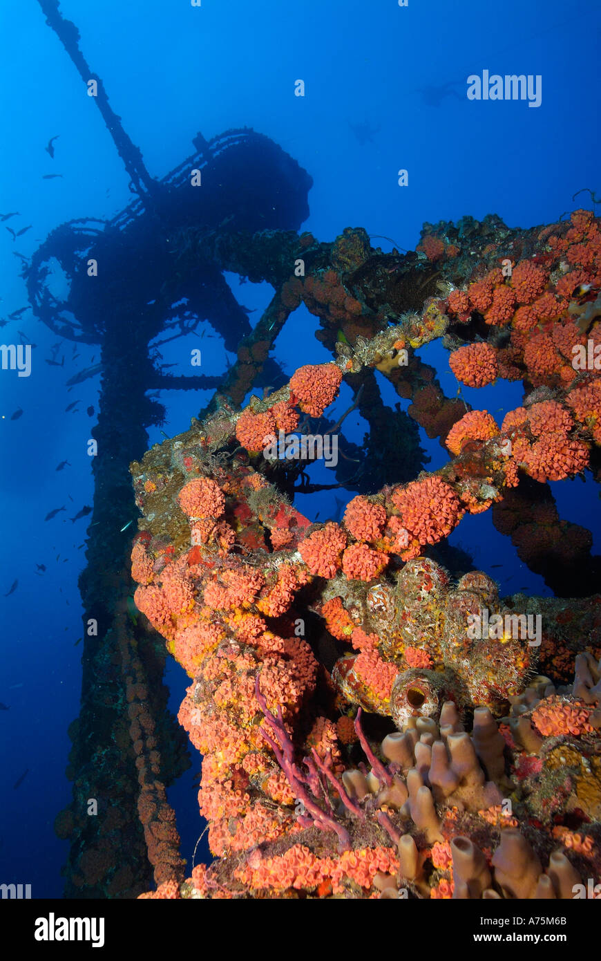 The USCG Duane in Key Largo in Florida Stock Photo - Alamy