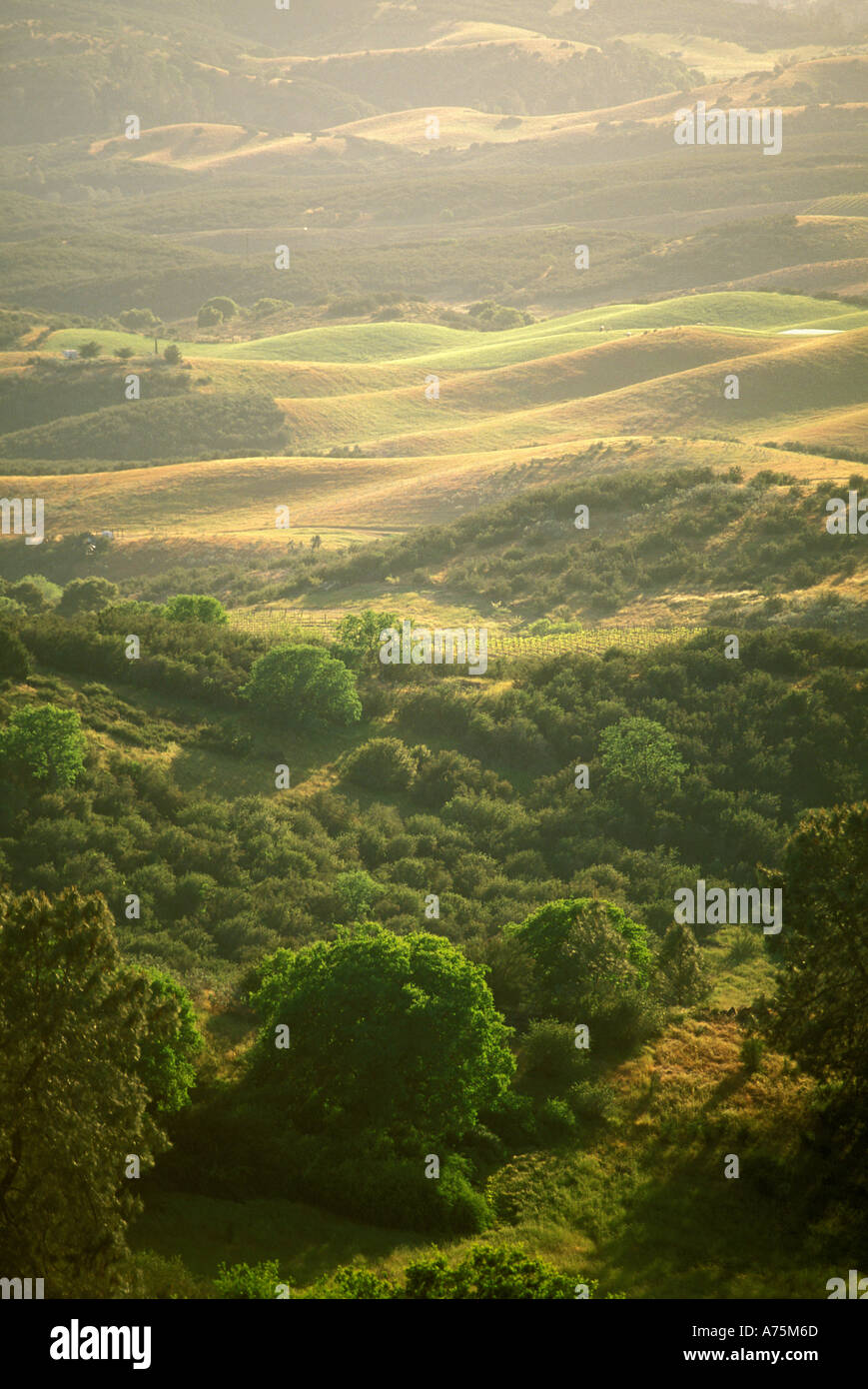 Rolling Hills Landscape Stock Photo - Alamy