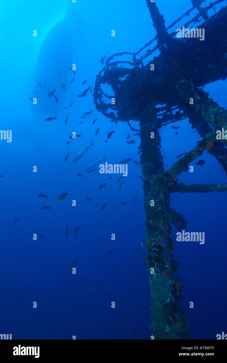 The USCG Duane in Key Largo in Florida Stock Photo - Alamy