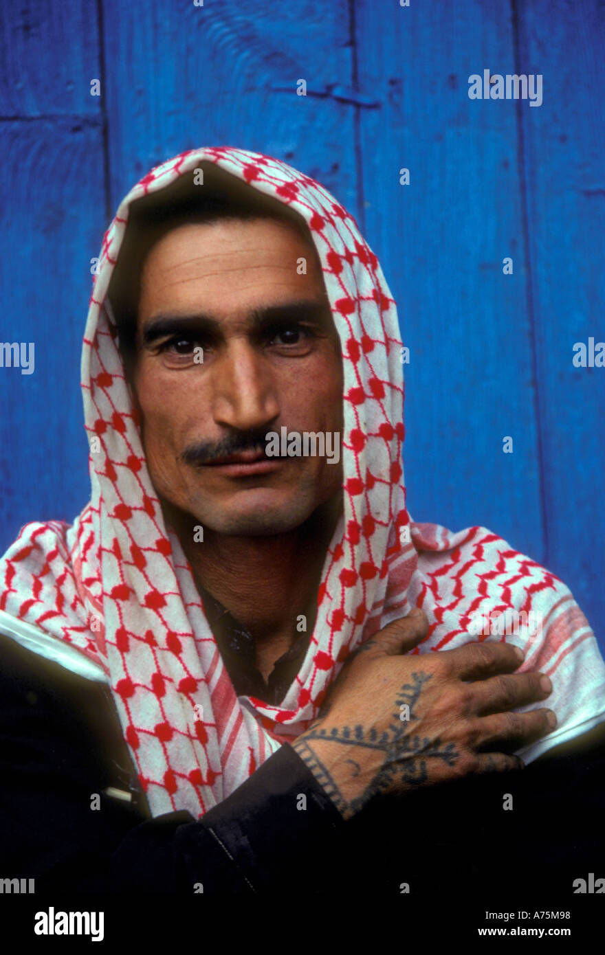 1, one, Kurdish man, Kurdish, man, eye contact, headshot, head and ...