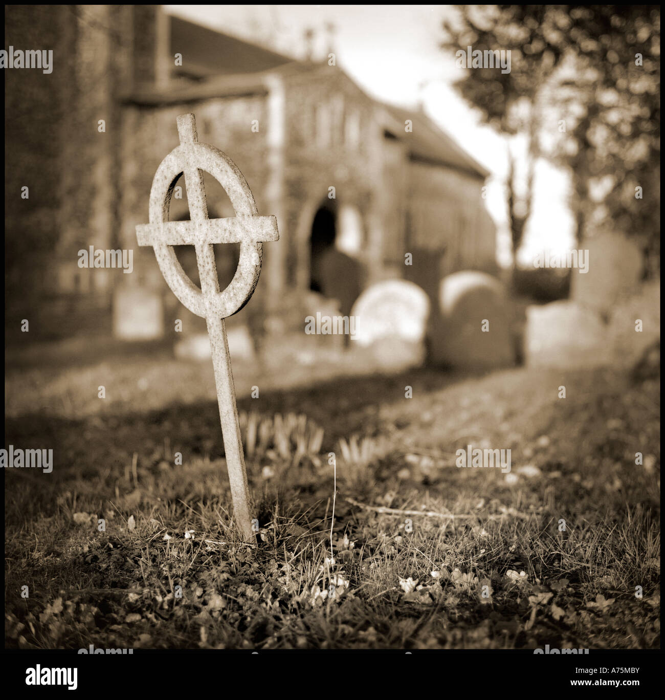 Suffolk cross hi-res stock photography and images - Alamy
