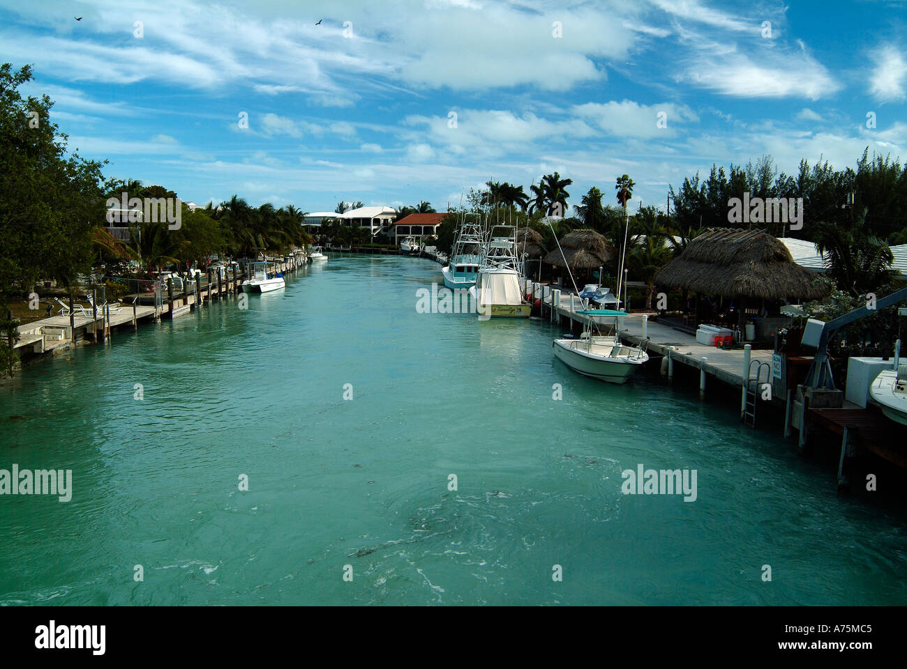 Typical houses along channel in Florida Stock Photo - Alamy