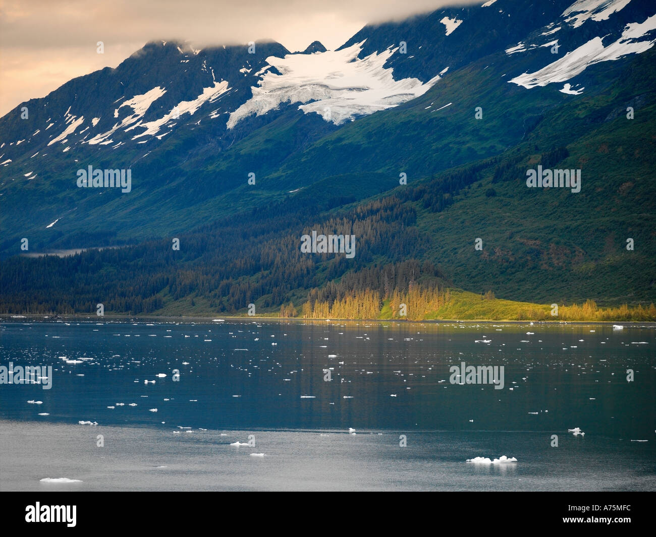 Montague strait hi-res stock photography and images - Alamy
