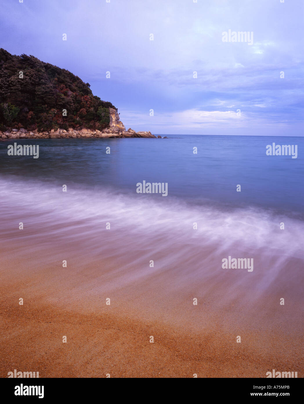 Te pukatea bay abel national hi-res stock photography and images - Alamy