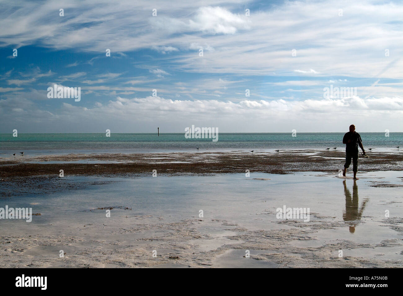 man walking on a beach in Florida Stock Photo - Alamy