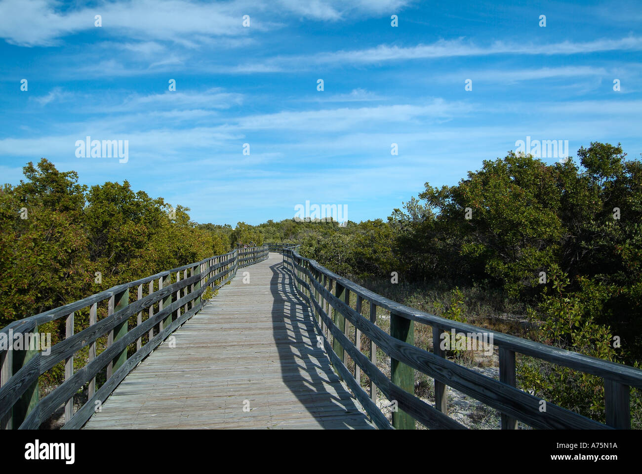 Pontoon crossing hi-res stock photography and images - Alamy