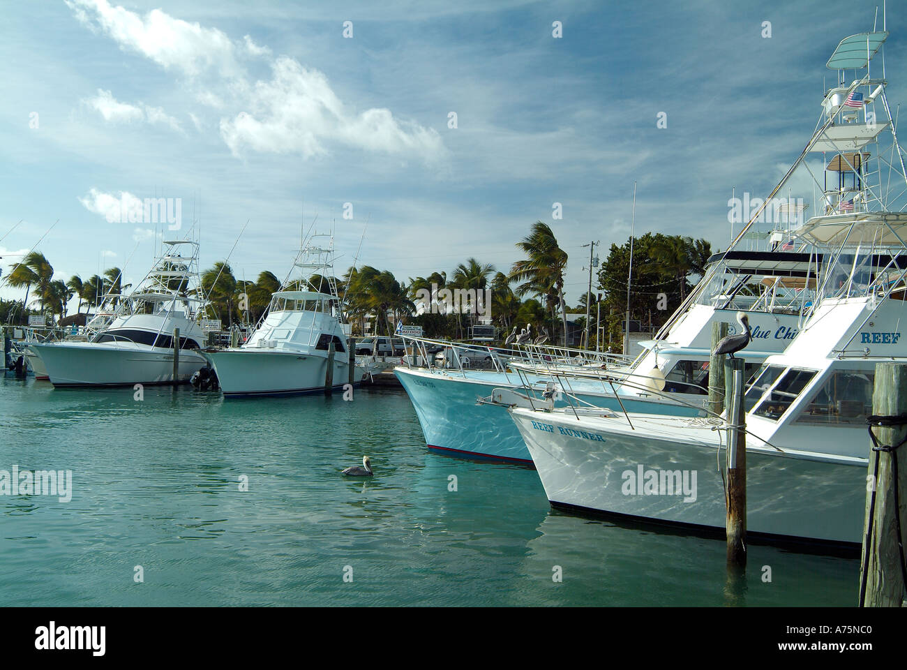 Florida quays hi-res stock photography and images - Alamy