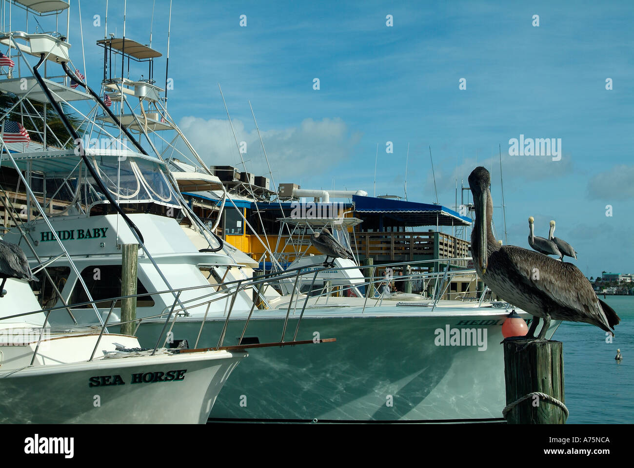 Charter fishing boats in Islamorada in Florida Stock Photo - Alamy