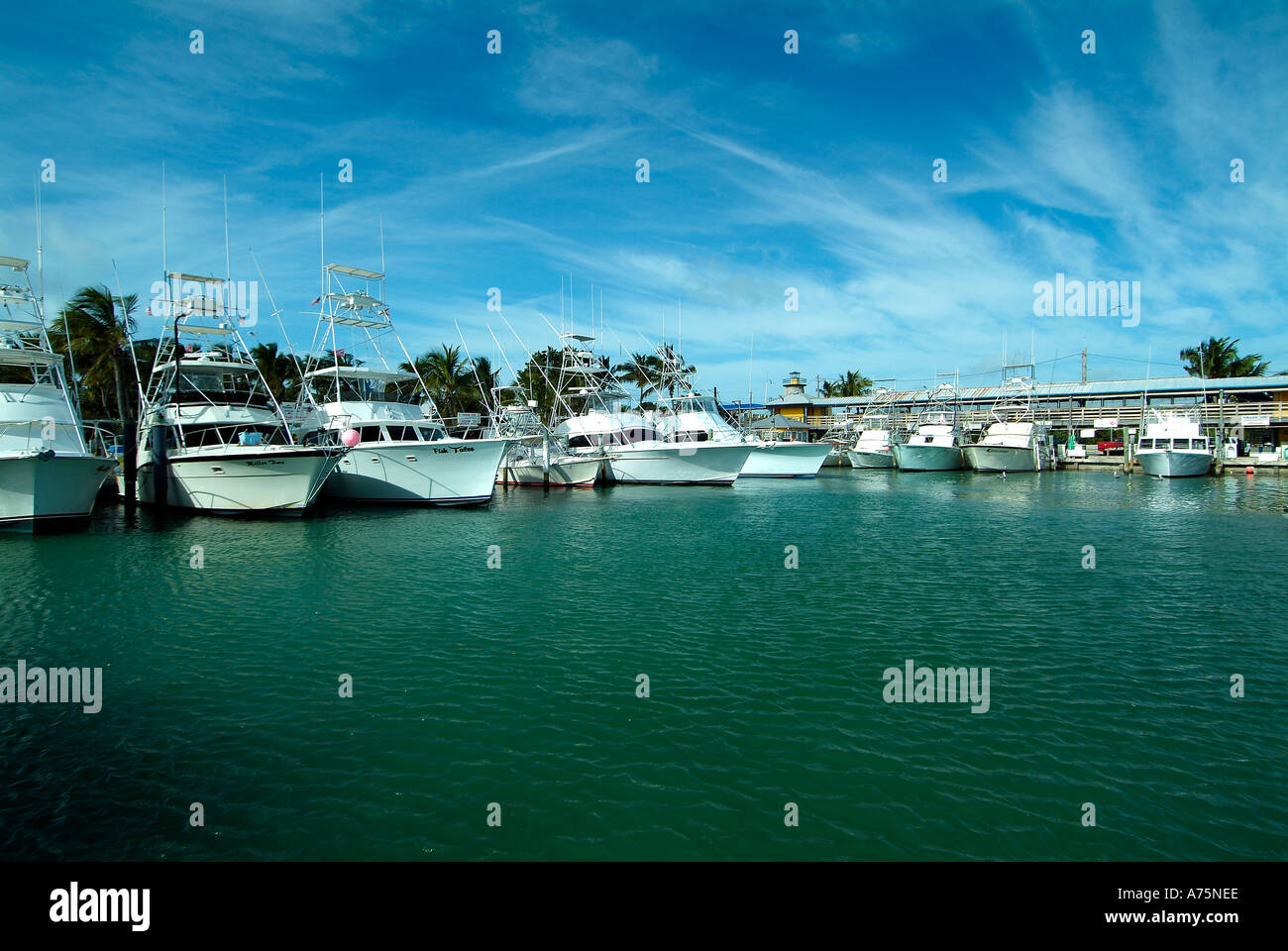 Florida quays hi-res stock photography and images - Alamy