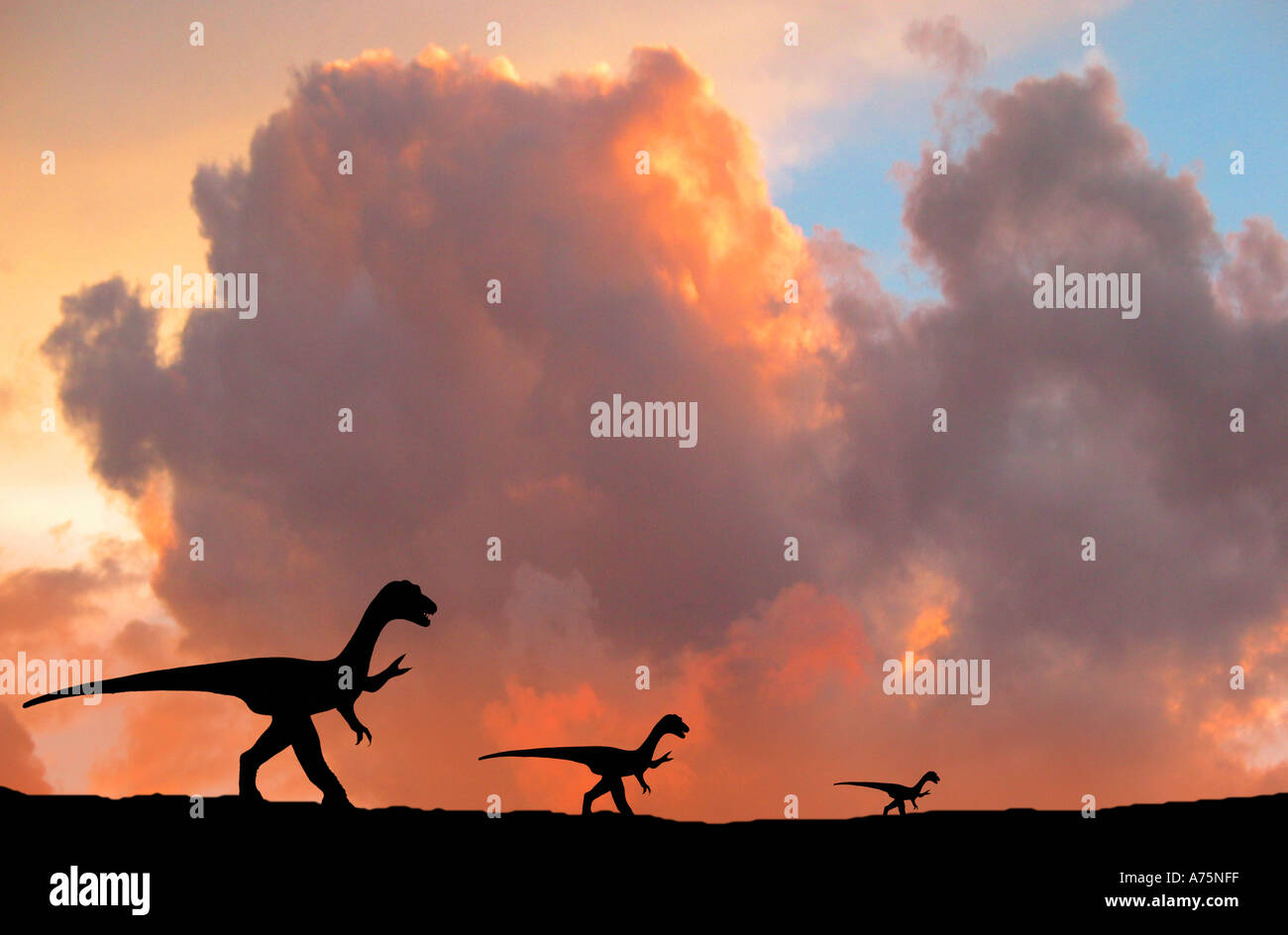 Dinosaur illustration hi-res stock photography and images - Alamy
