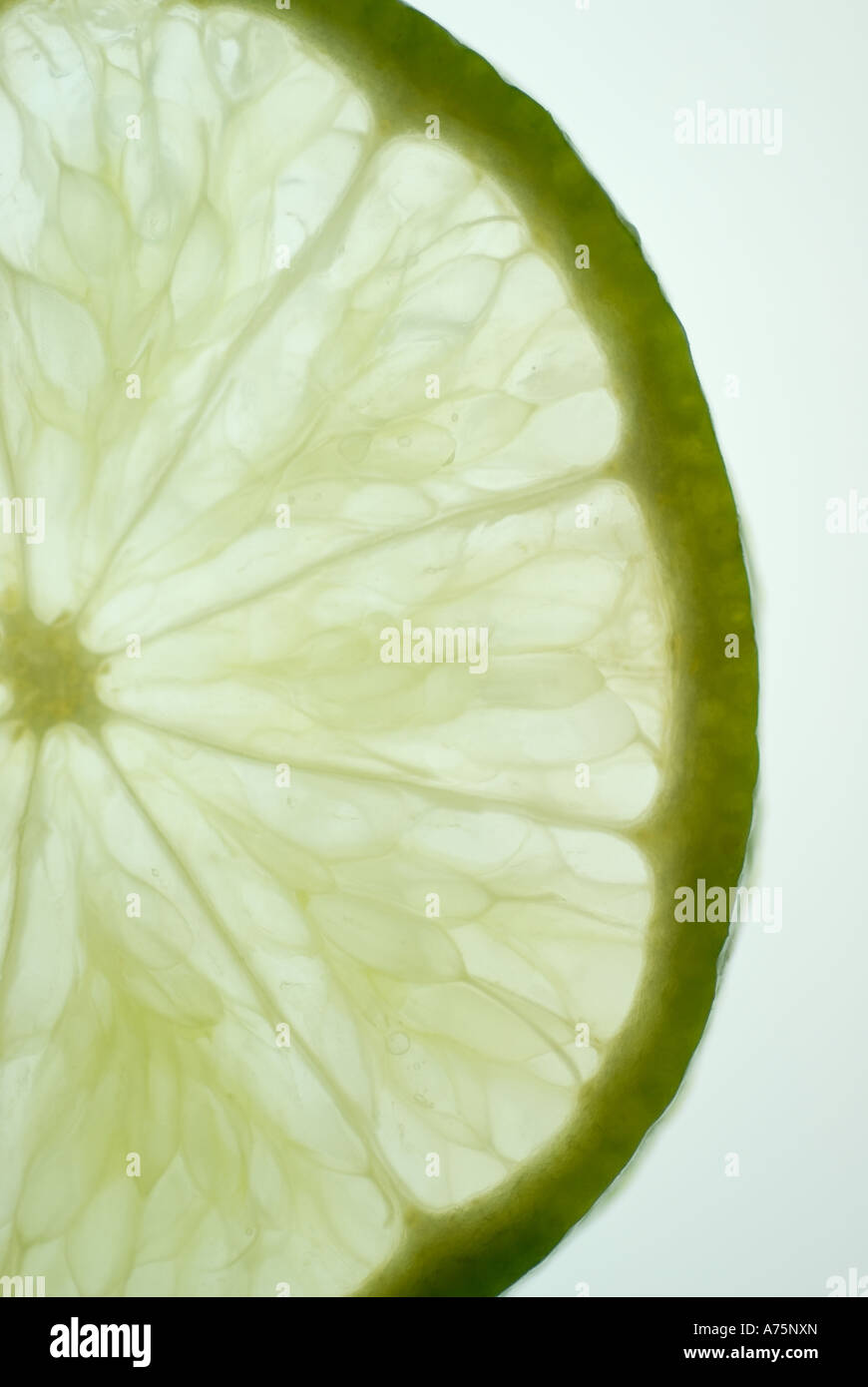 Lime slice close up Stock Photo - Alamy