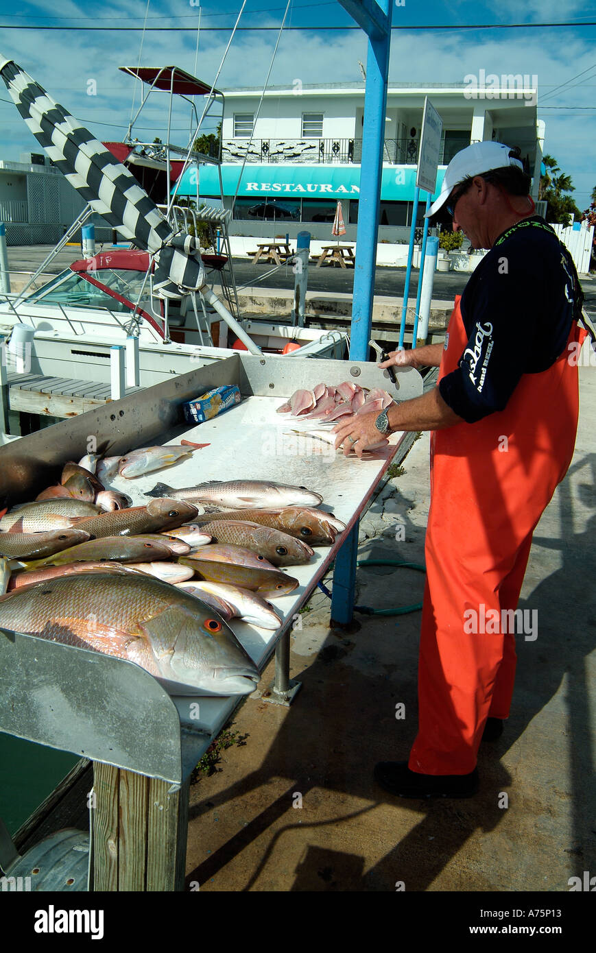 Fisherman cleaning and cutting fish Stock Photo - Alamy