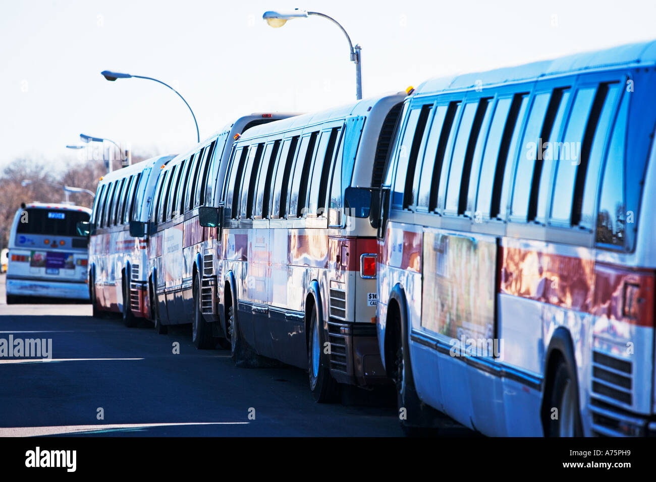 NEW YORK CITY BUSES Stock Photo - Alamy