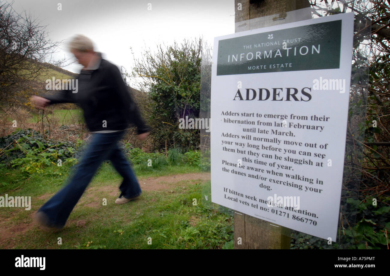 WARNING SIGNS ABOUT ADDER SNAKES SITUATED ON THE WOOLACOMBE DOWNS,NORTH ...