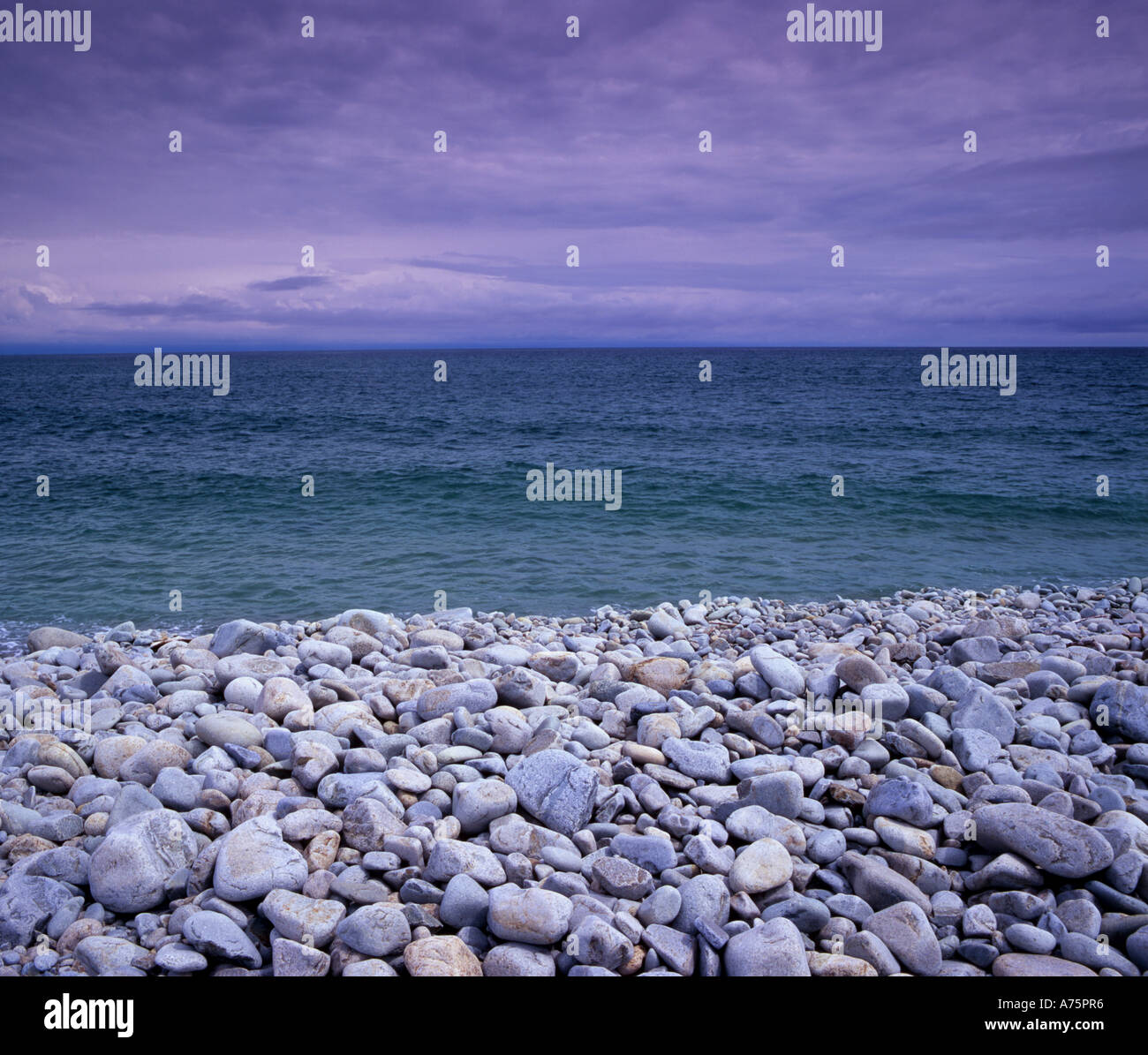 Beach haven new zealand hi-res stock photography and images - Alamy