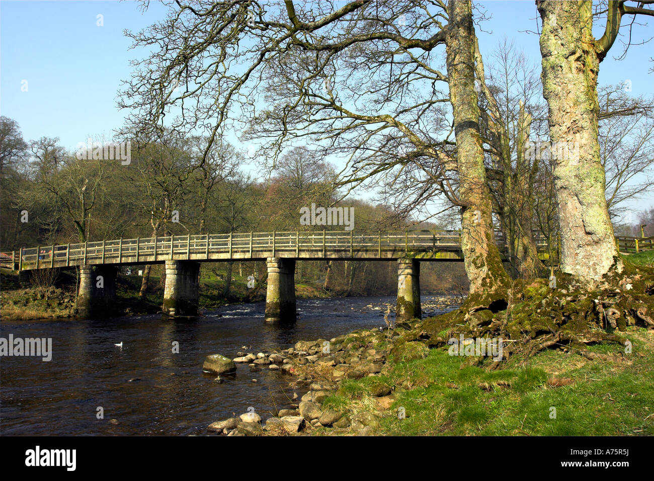 Bridge over the river Wharfe on the Bolton Abbey estate in the ...