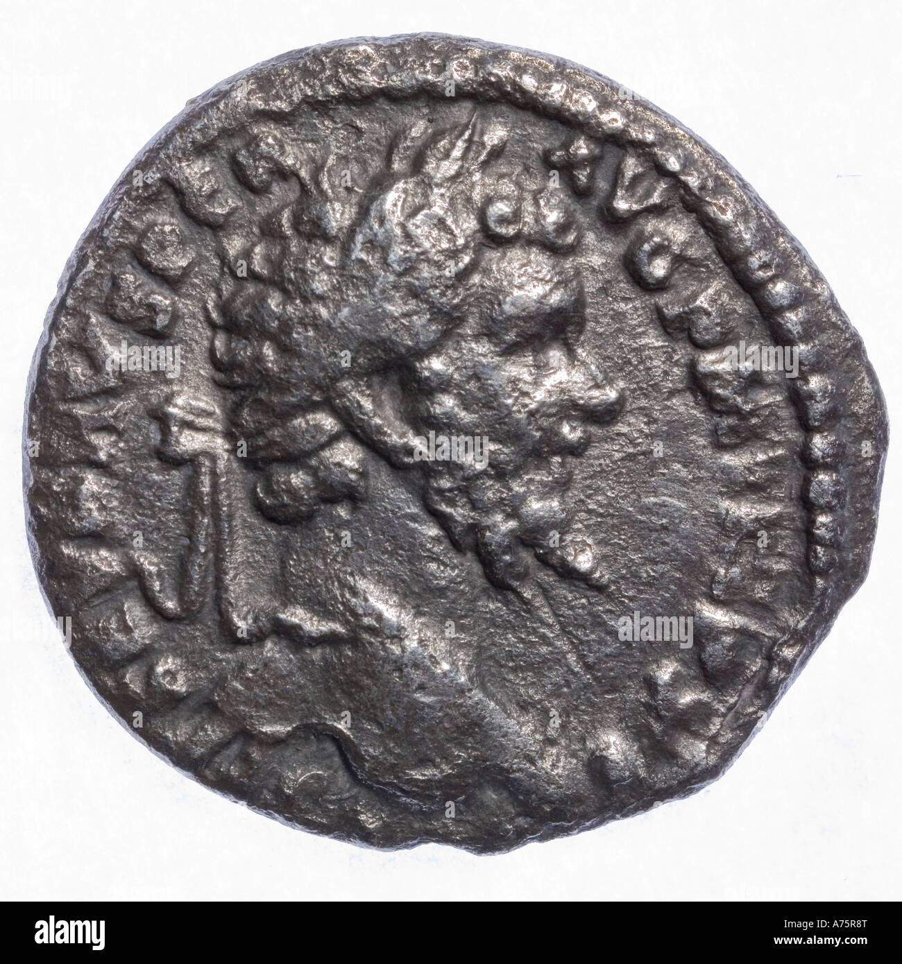 A silver denarius of Septimius Severus Stock Photo - Alamy