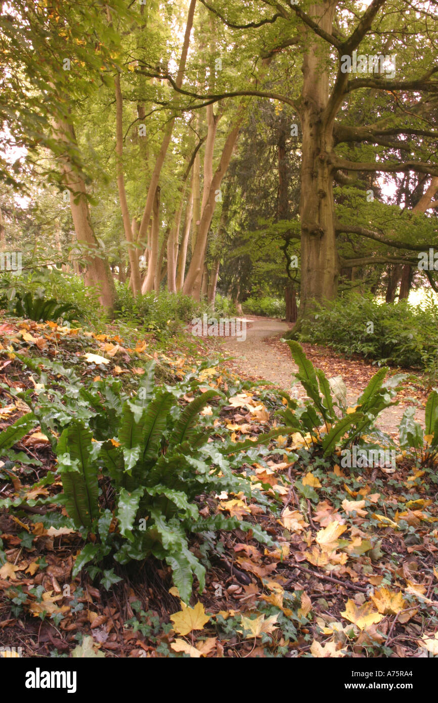 Naturaltravel hi-res stock photography and images - Alamy