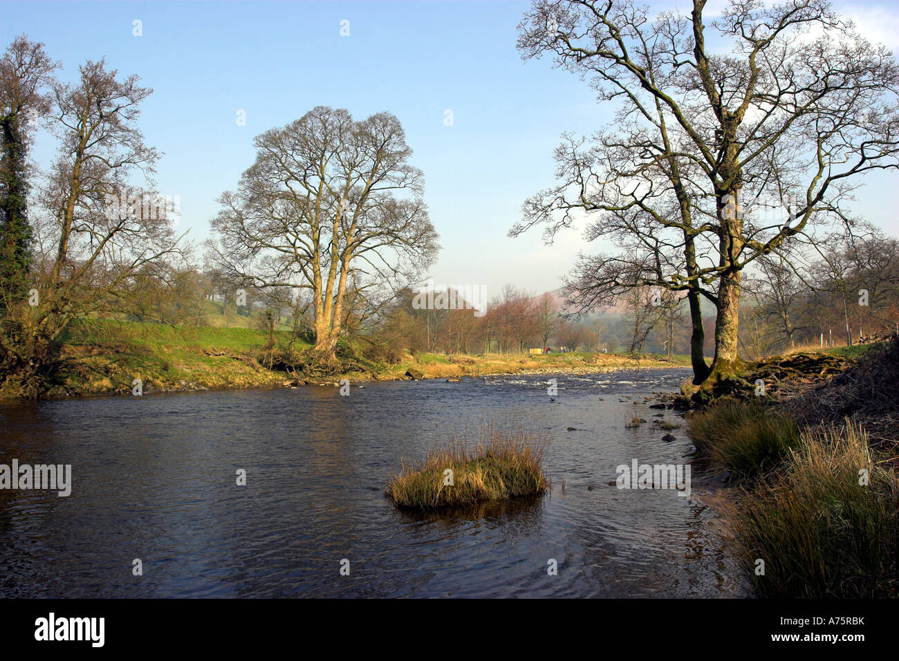 River Wharfe in the Yorkshire Dales in North West England Stock Photo ...