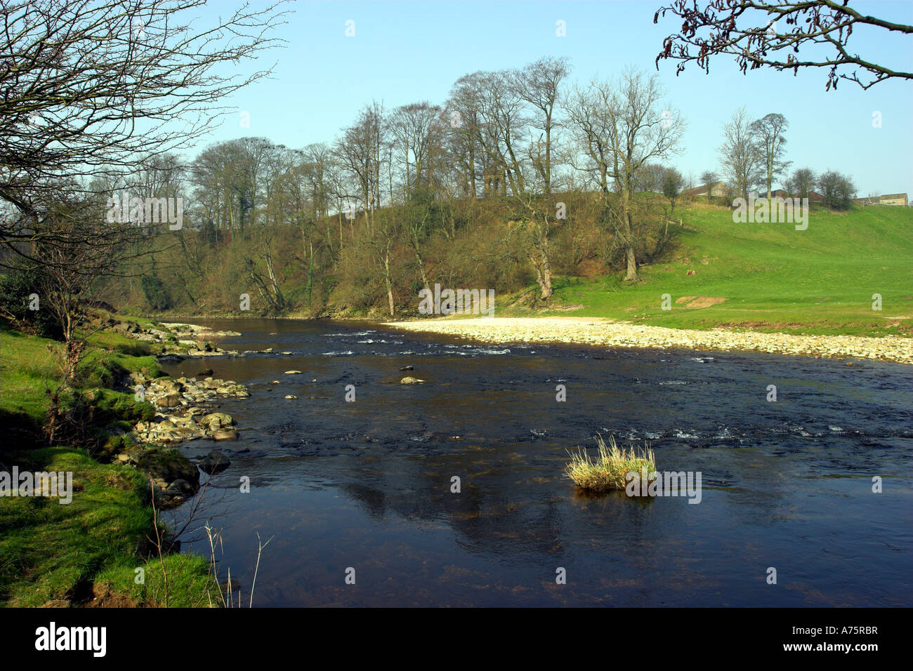 Fast flowing river Wharfe in the Yorkshire Dales, England Stock Photo ...