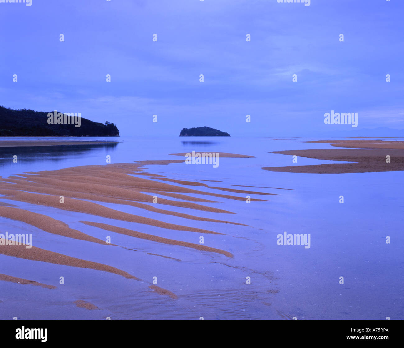 Incoming Tide Sequence No 2 Sandy Bay Marahau Abel Tasman National Park South Island New Zealand ...