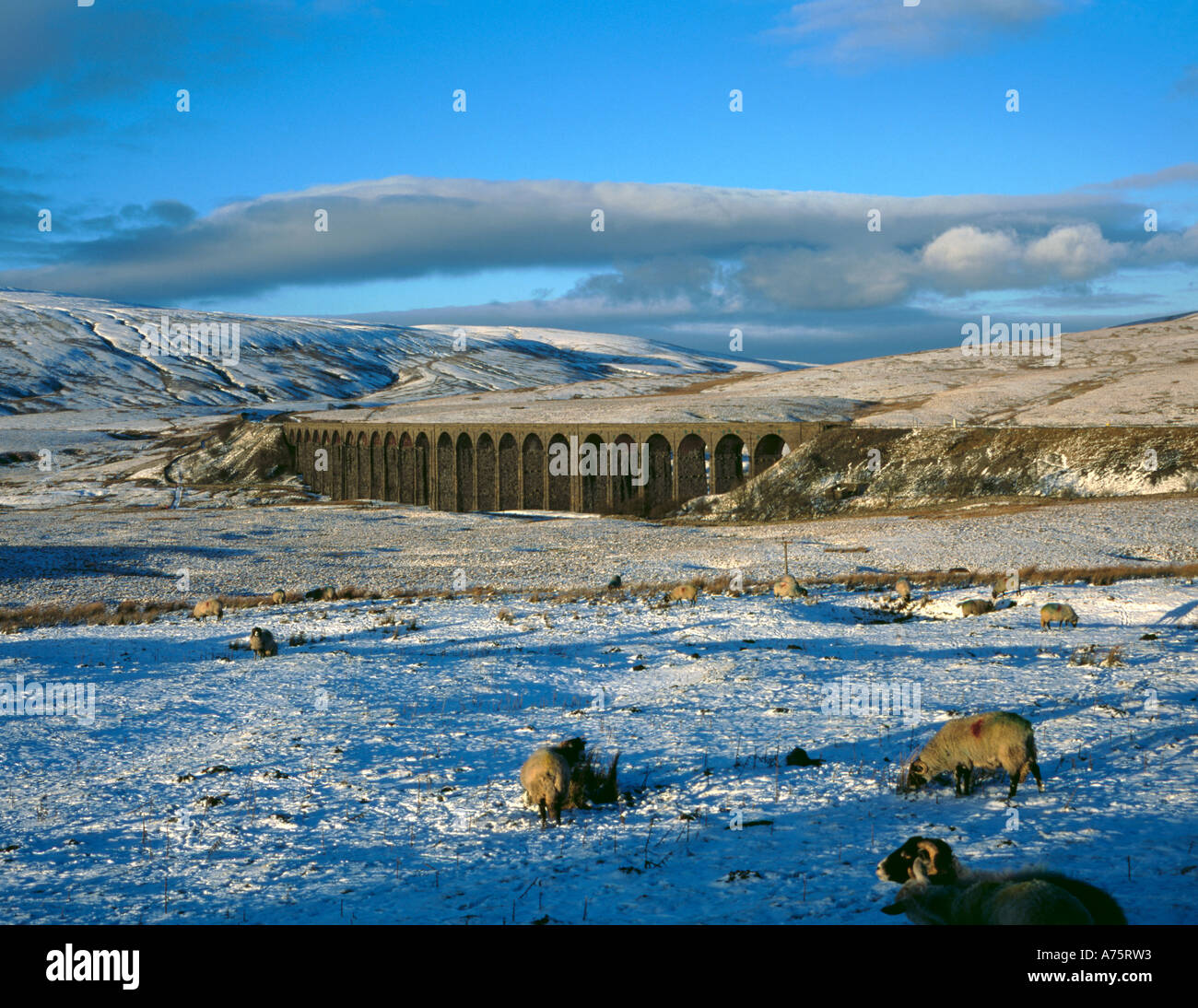 Ribblehead Viaduct in winter, Settle-Carlisle Railway, Ribblehead ...