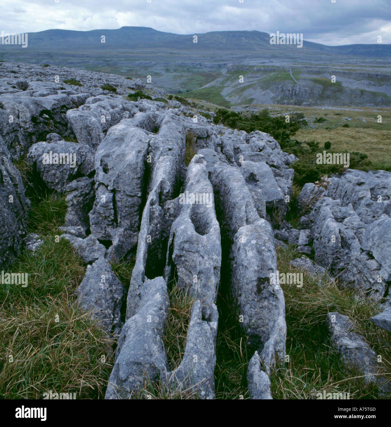 Rainwash erosion hi-res stock photography and images - Alamy