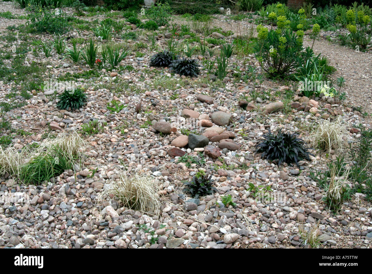 Holbrook the stone garden April 9 Stock Photo - Alamy