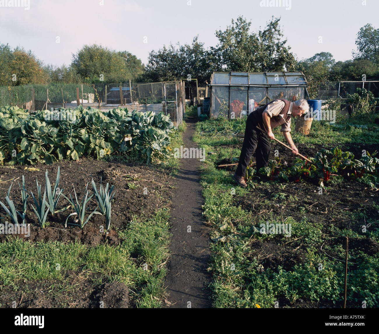 Allotments beside the East Coast Line Grantham Lincolnshire Stock Photo ...