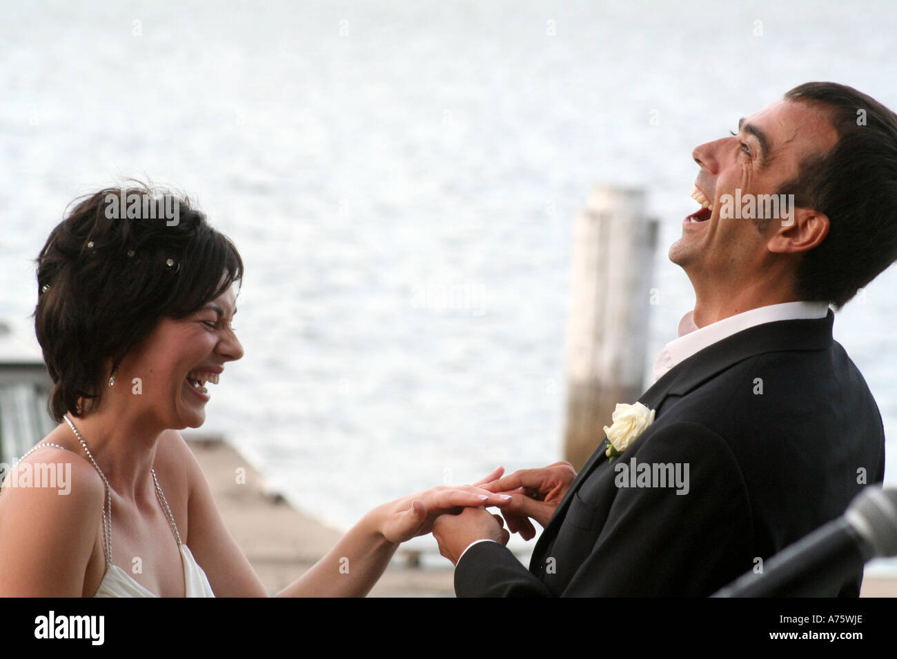 Bride and Groom laugh putting on the Wedding ring Stock Photo - Alamy