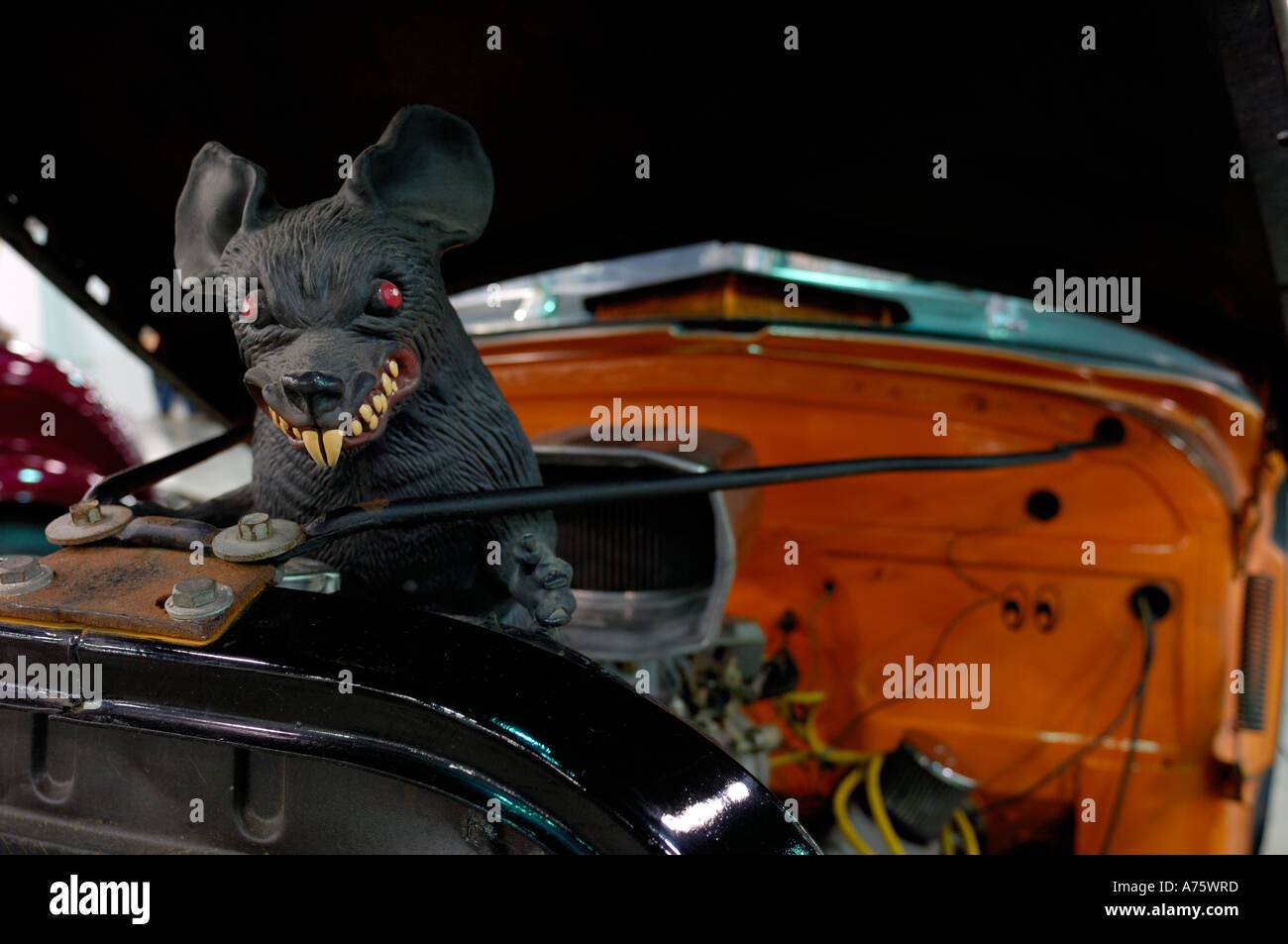 Toy rat in the engine compartment of a 1940 Chevrolet traditional hot ...