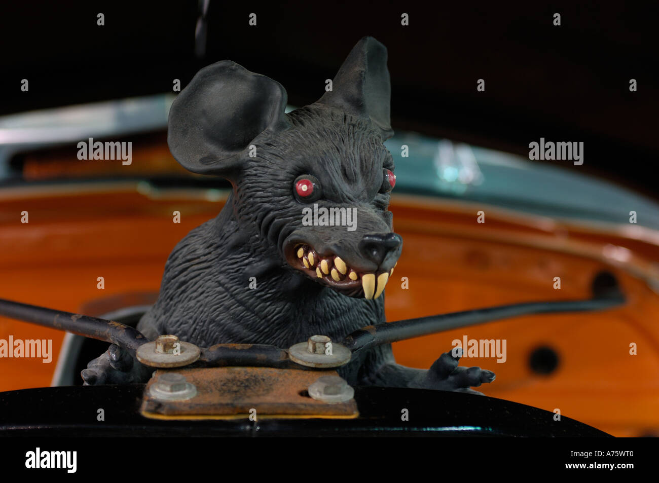 Toy rat in the engine compartment of a 1940 Chevrolet traditional hot ...