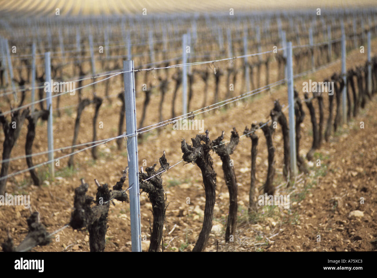Miraval france hi-res stock photography and images - Alamy