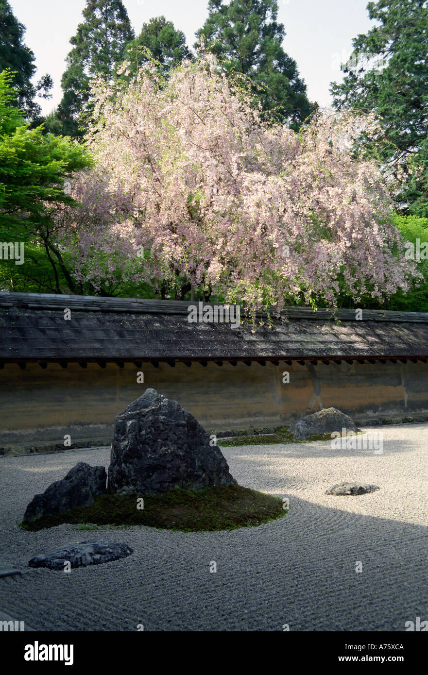 Rock garden Ryoan-ji Zen Temple Kyoto Japan Stock Photo - Alamy