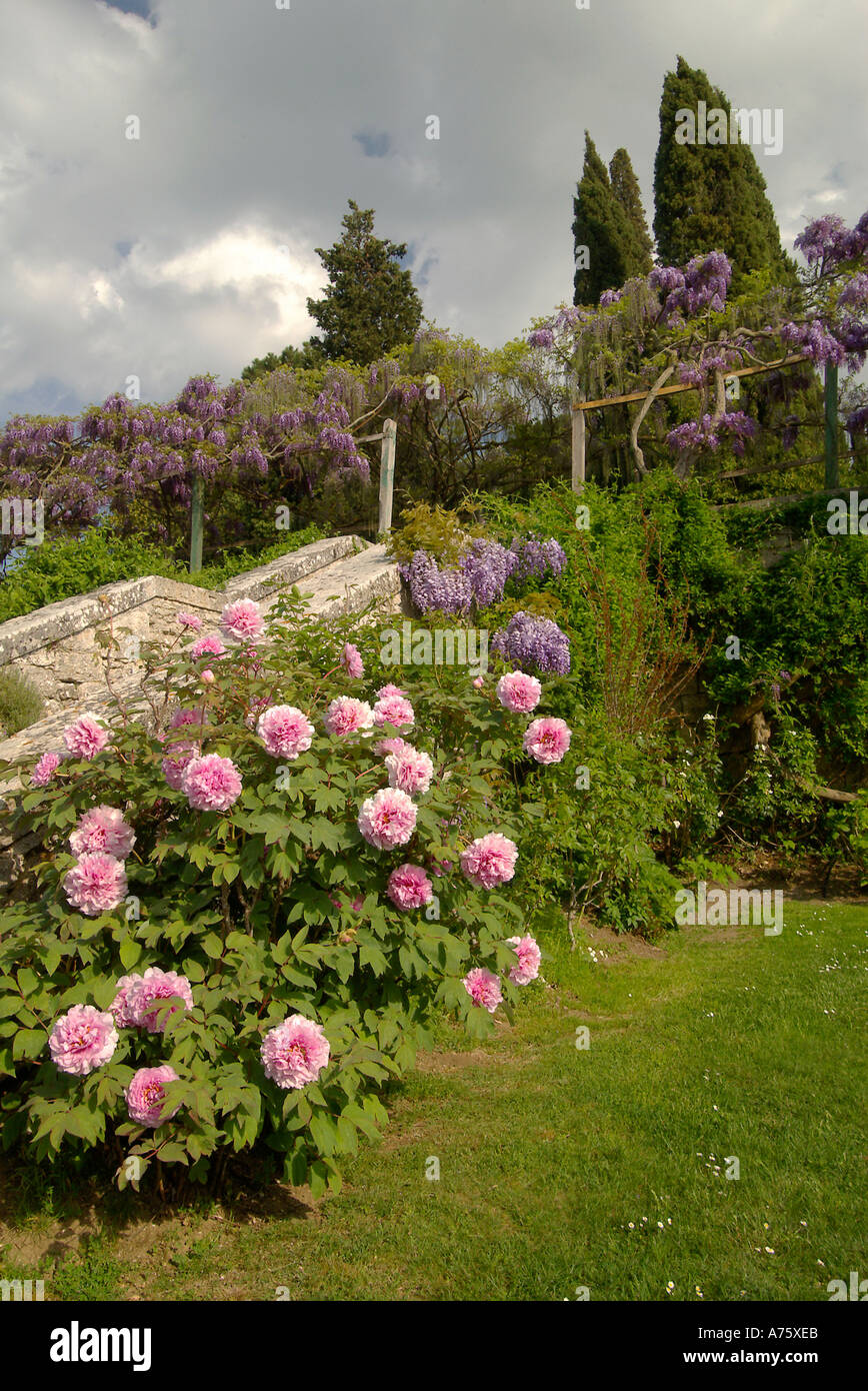 Cecil pinsent hi-res stock photography and images - Alamy