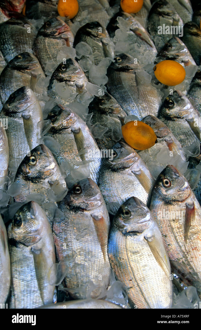 turkey anatolia aegean coast fethiye fish on display in market Stock ...