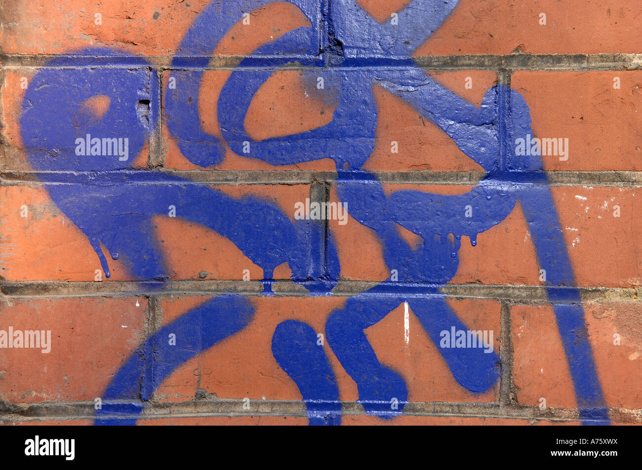 Blue Graffiti Brik Wall Stock Photo - Alamy