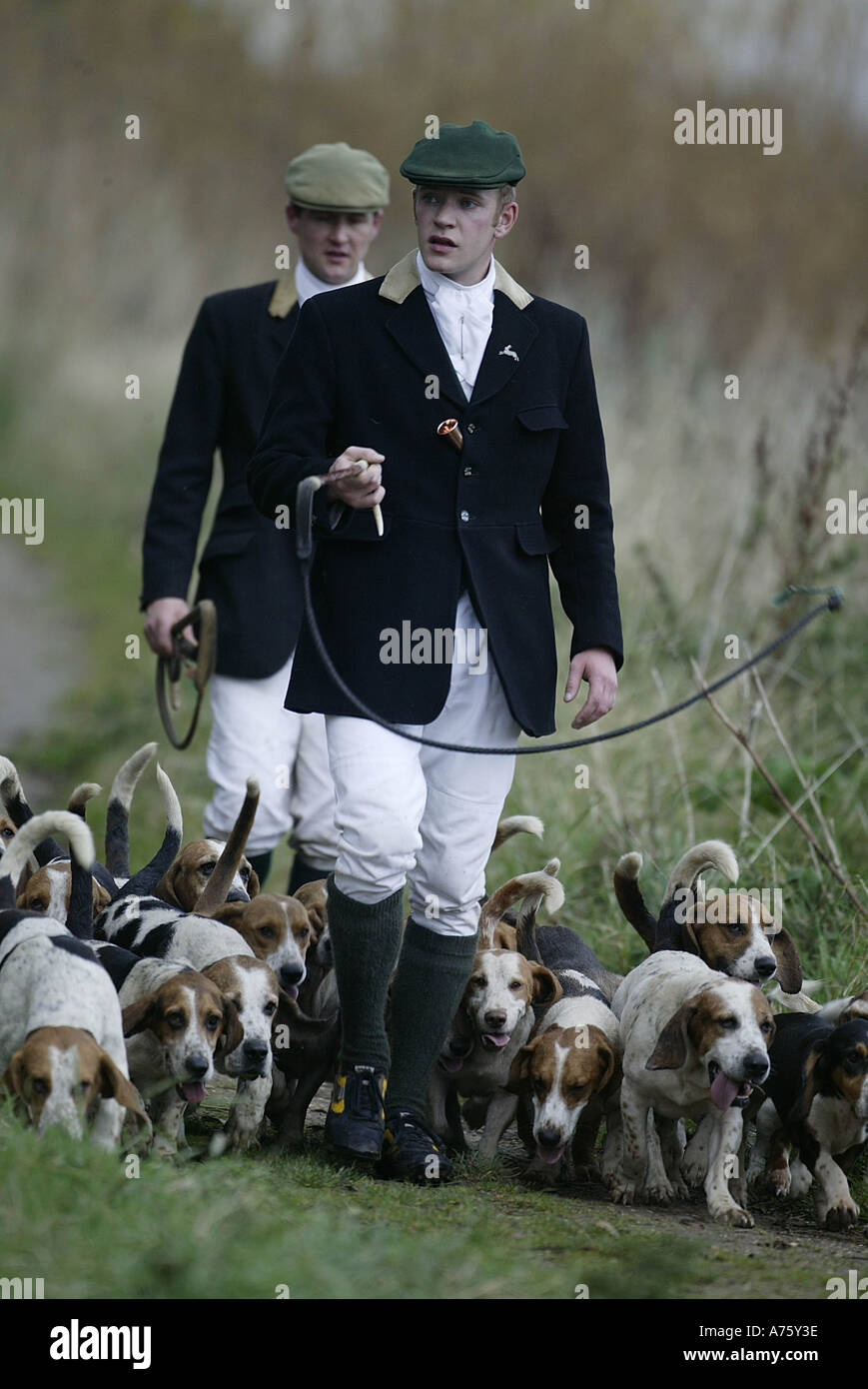 Hunting see hi-res stock photography and images - Alamy