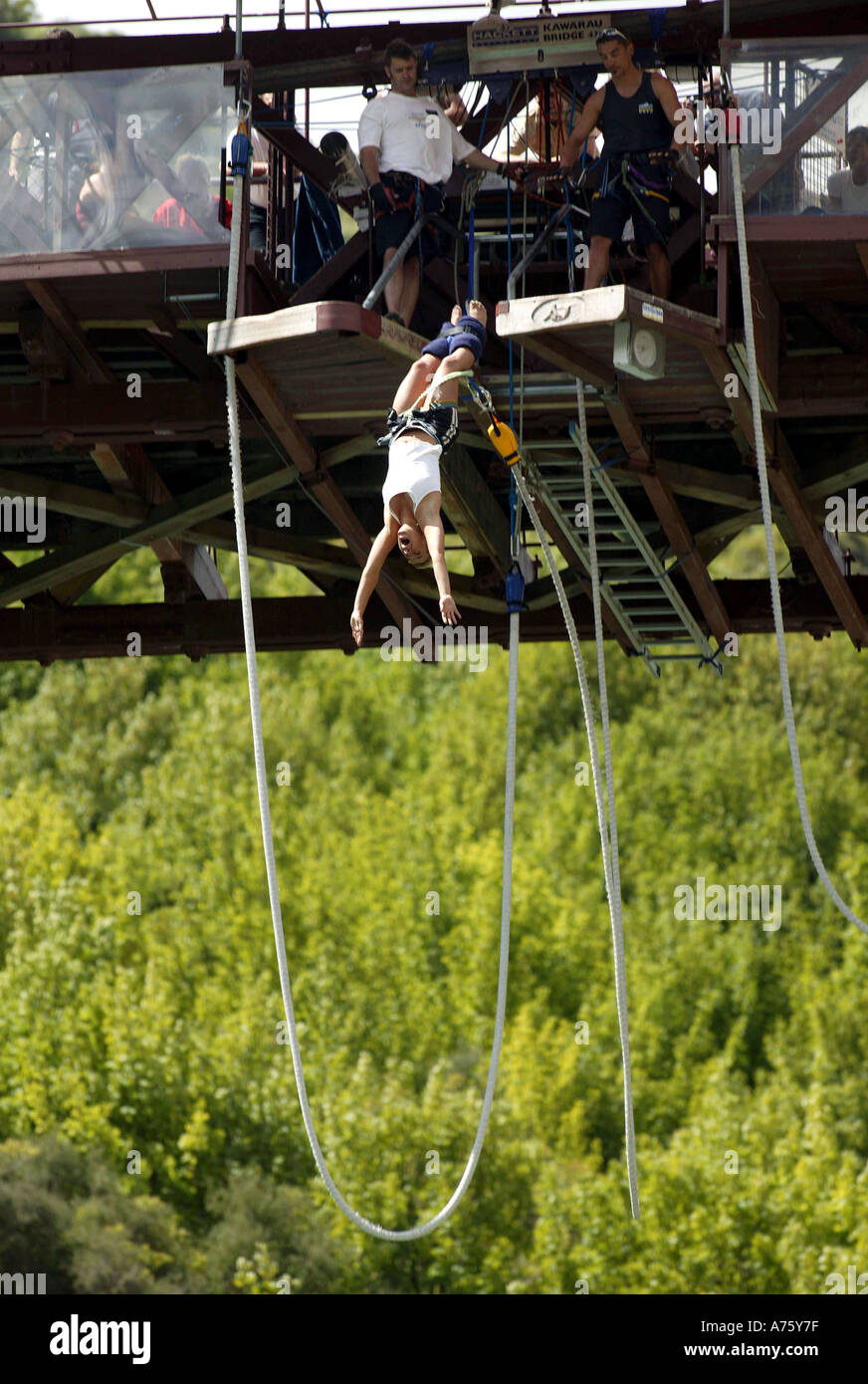 Bungy Bungee jumping Stock Photo - Alamy
