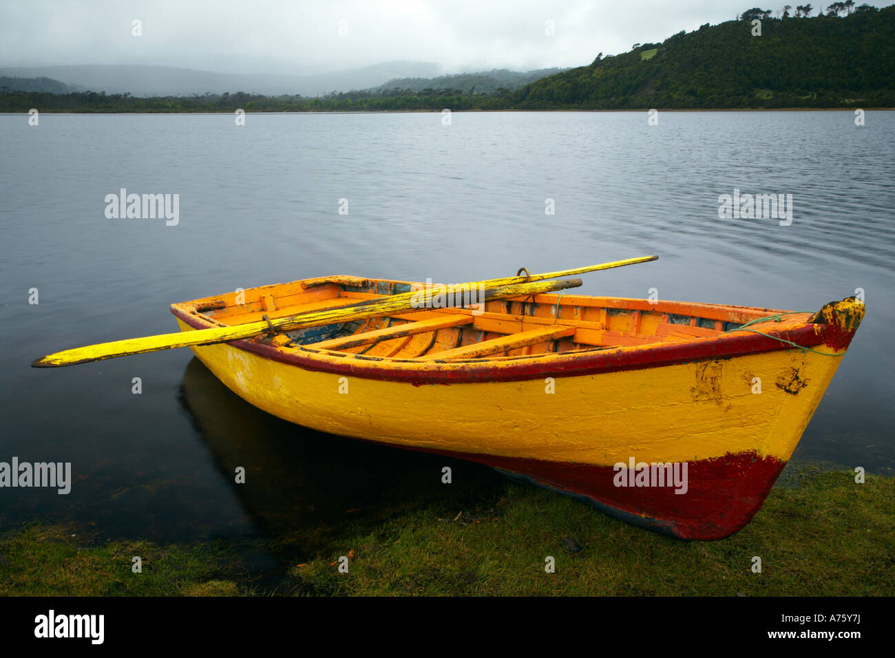Chile, Chiloe, Parque Nacional Chiloe. Rowing boat moored on a small ...
