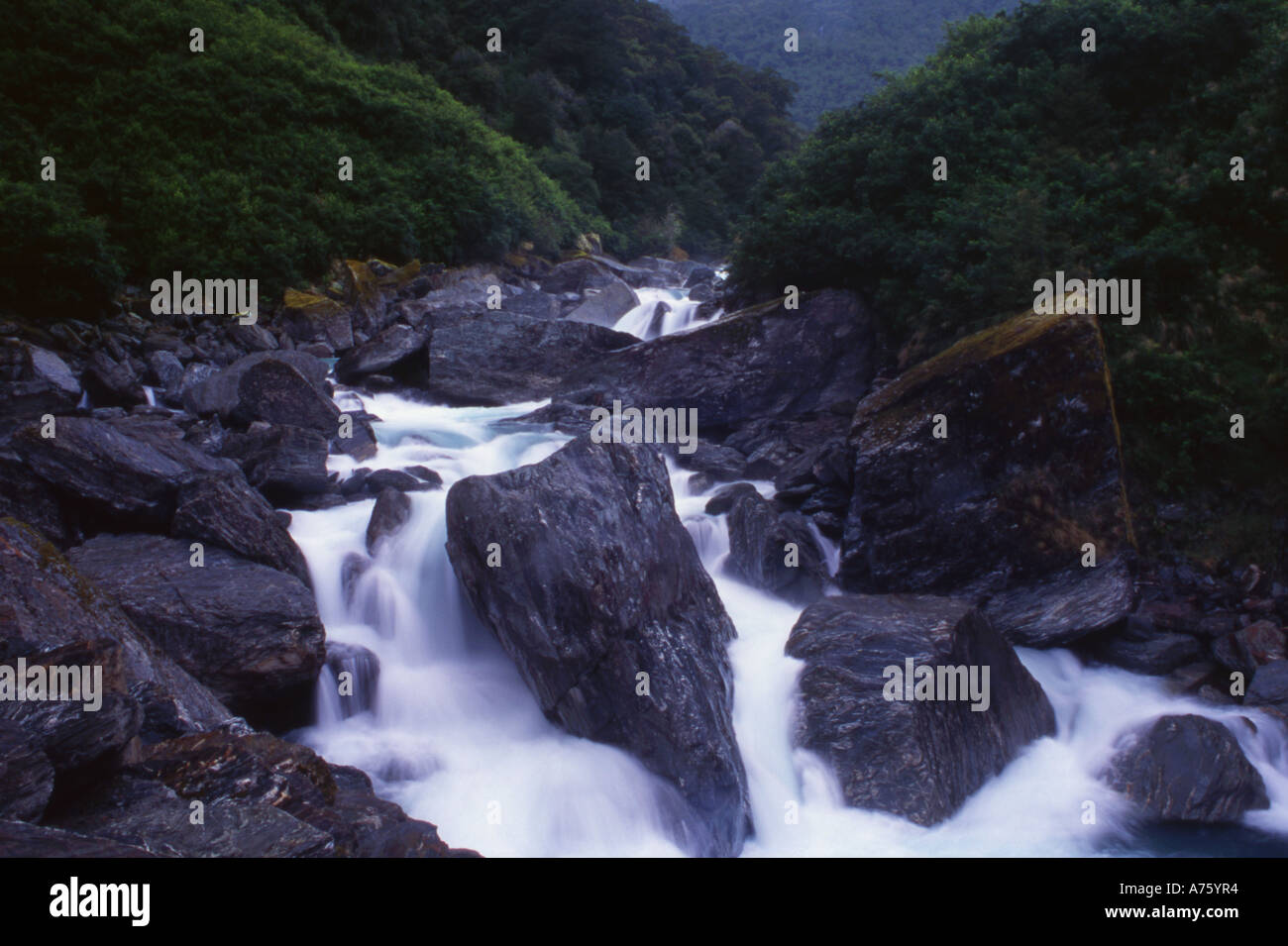 The Gates of Haast Mt Aspiring National Park South Island New Zealand ...